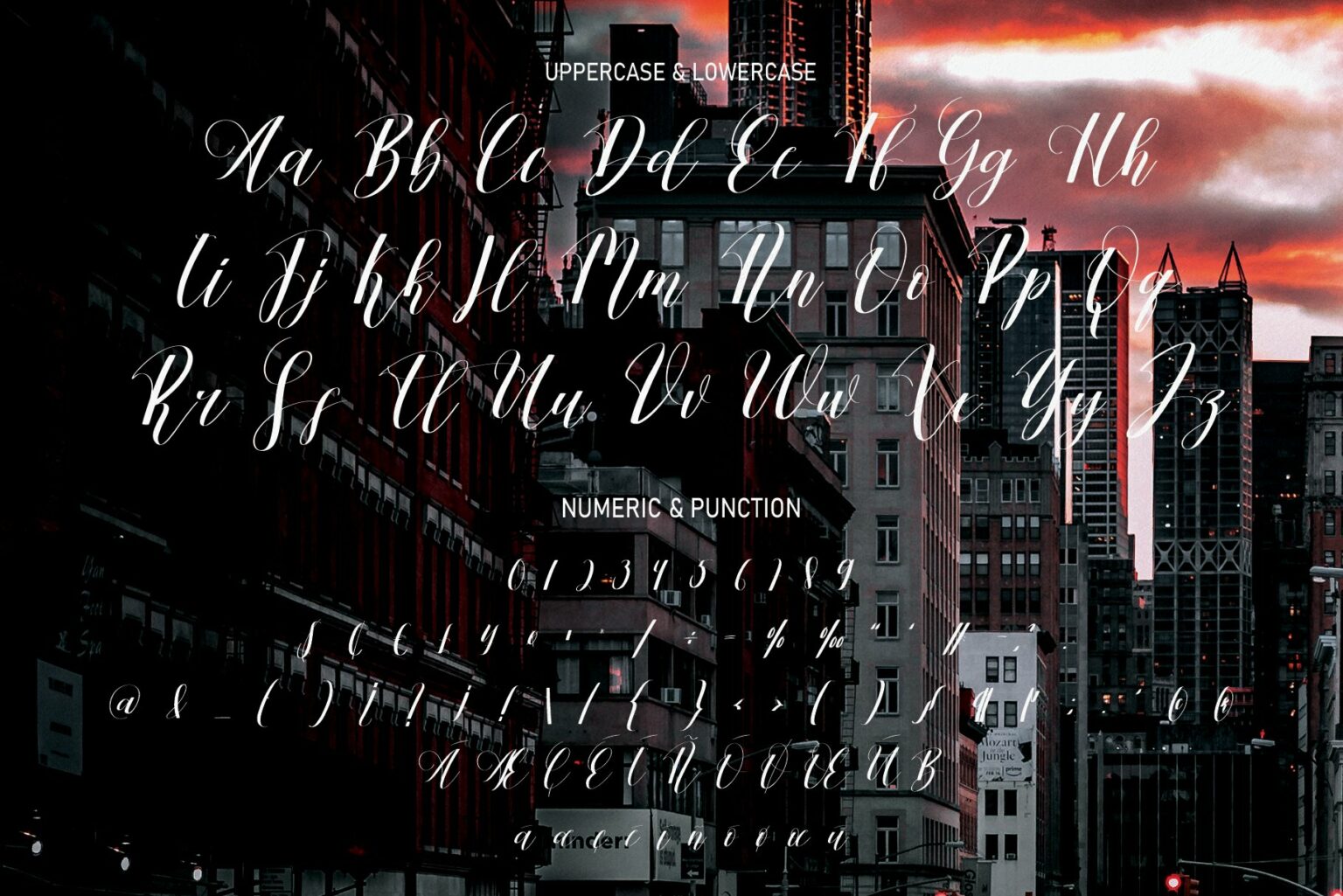 California | Script font – MasterBundles