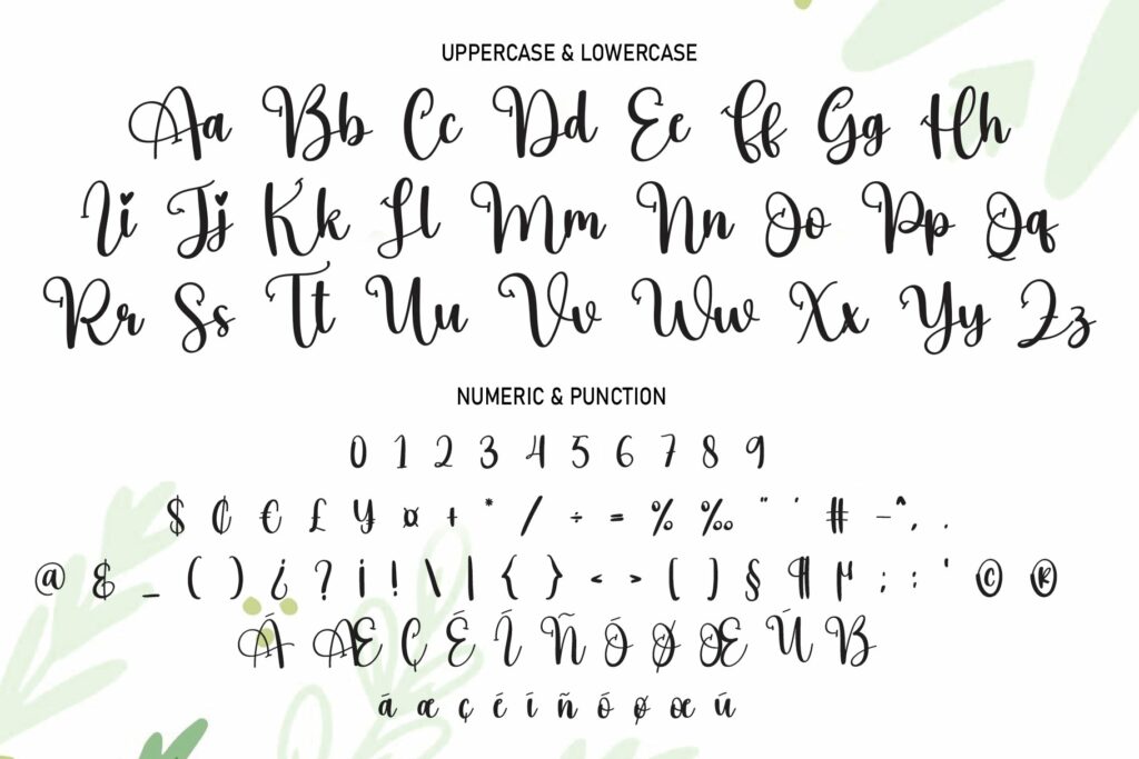 Active | Script Font – MasterBundles