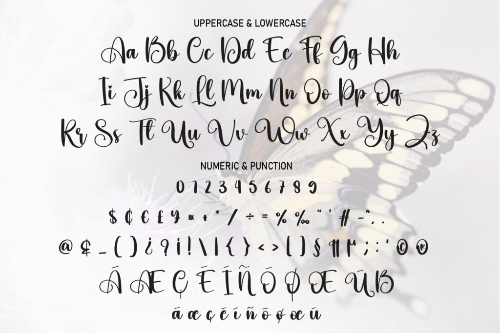 Beautiful Butterfly | Script Font – MasterBundles