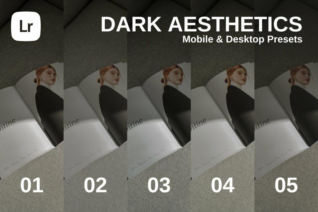 Dark Aesthetics Lightroom Presets – MasterBundles
