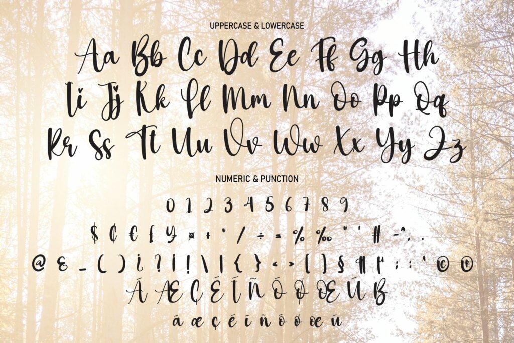 Sunlight | Script Font – MasterBundles