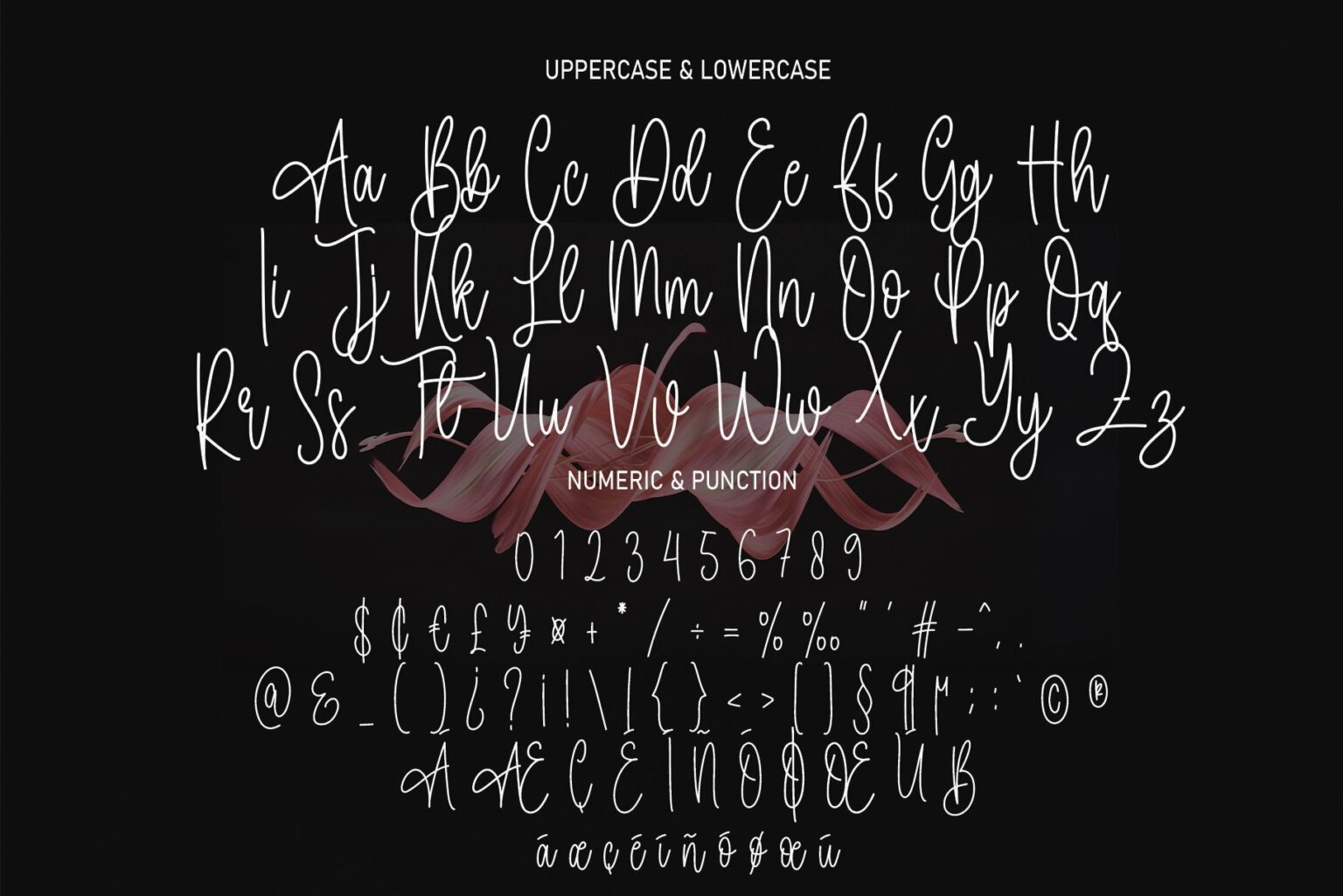 Autography | Script Font – MasterBundles