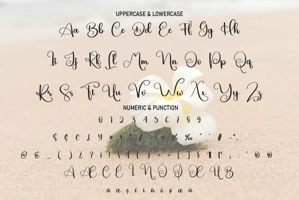 Hawaii | Script Font – MasterBundles