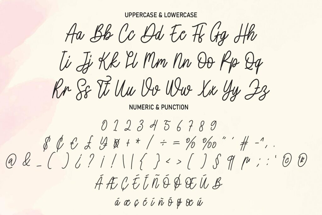 History | Script Font – MasterBundles