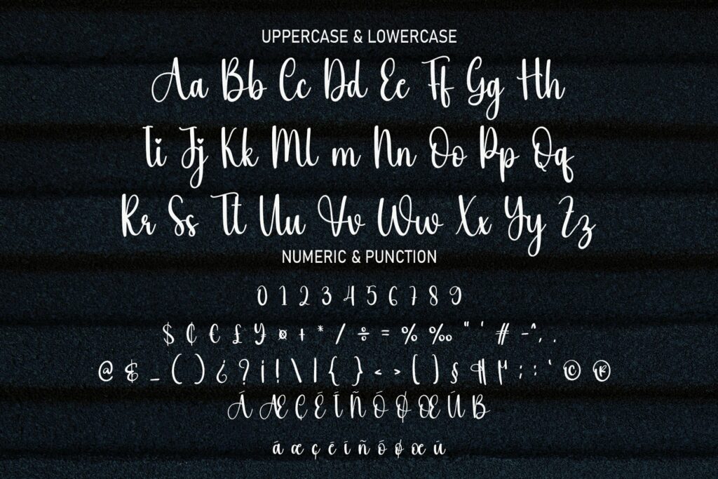 Vallue | Script Font – MasterBundles