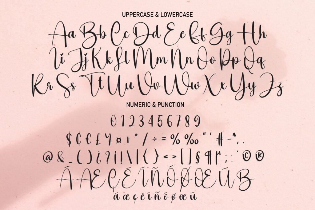 Romance | Script Font – MasterBundles
