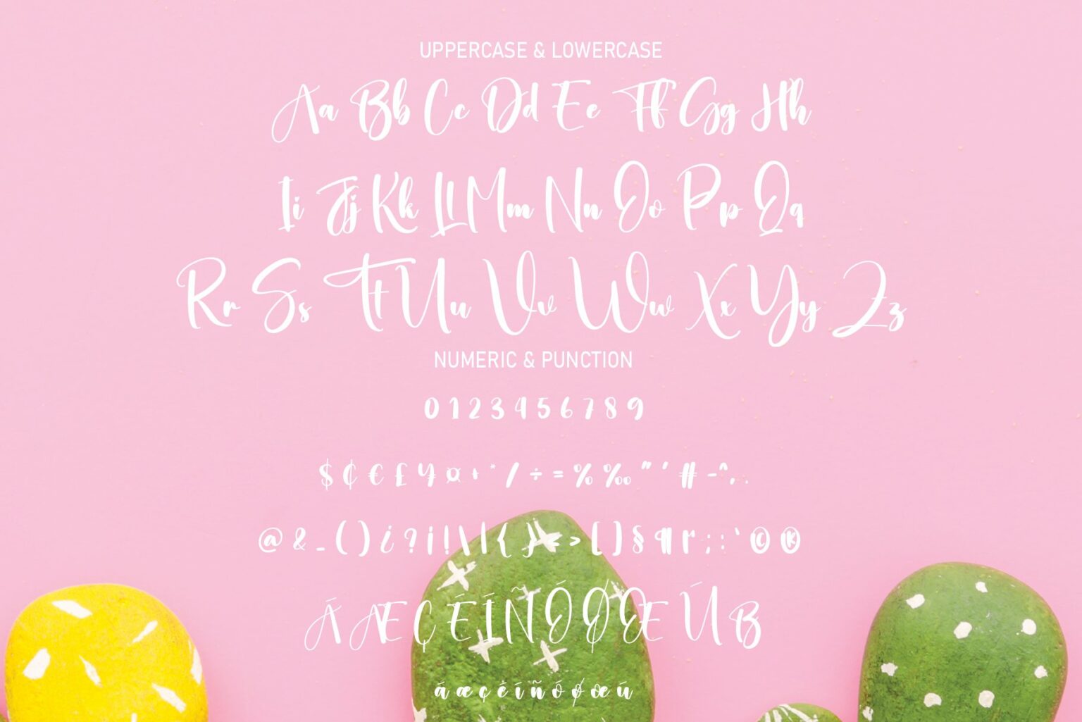 Pinky | Script Font – MasterBundles