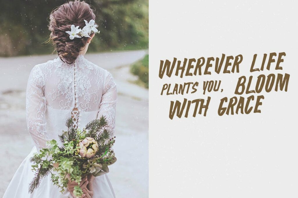 The Wolfman – MasterBundles