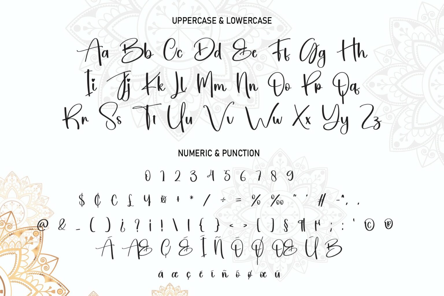 Arabic | Script Font – MasterBundles