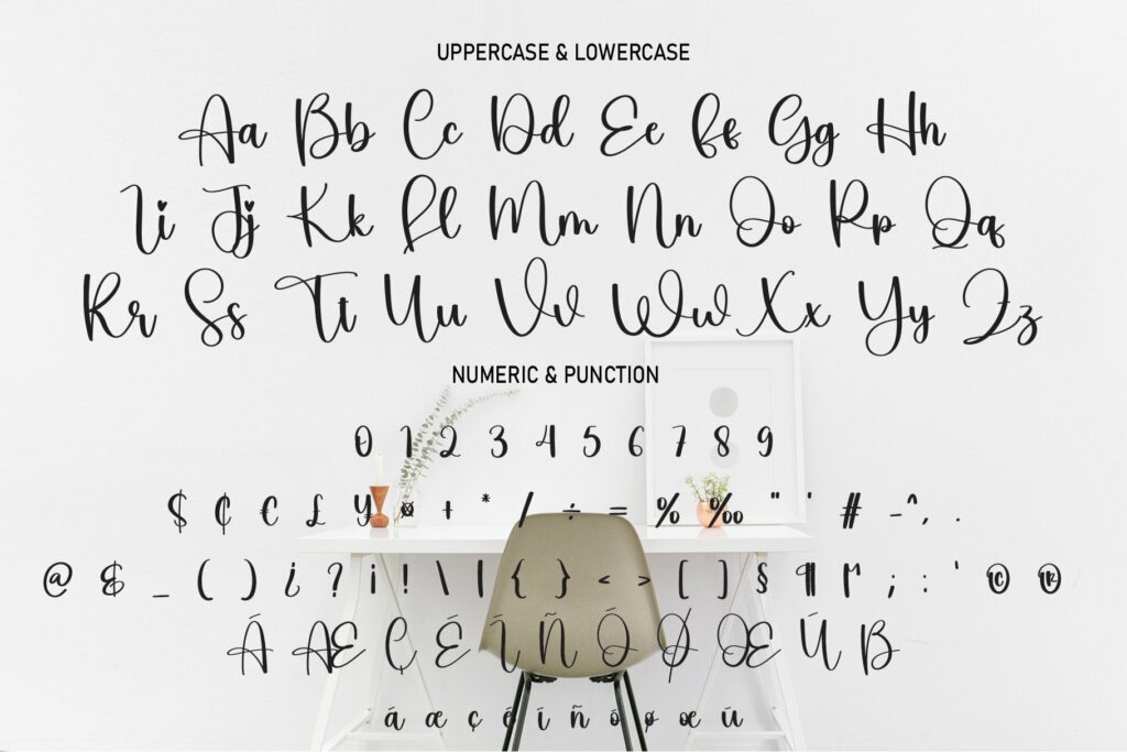 Home | Script Font – MasterBundles