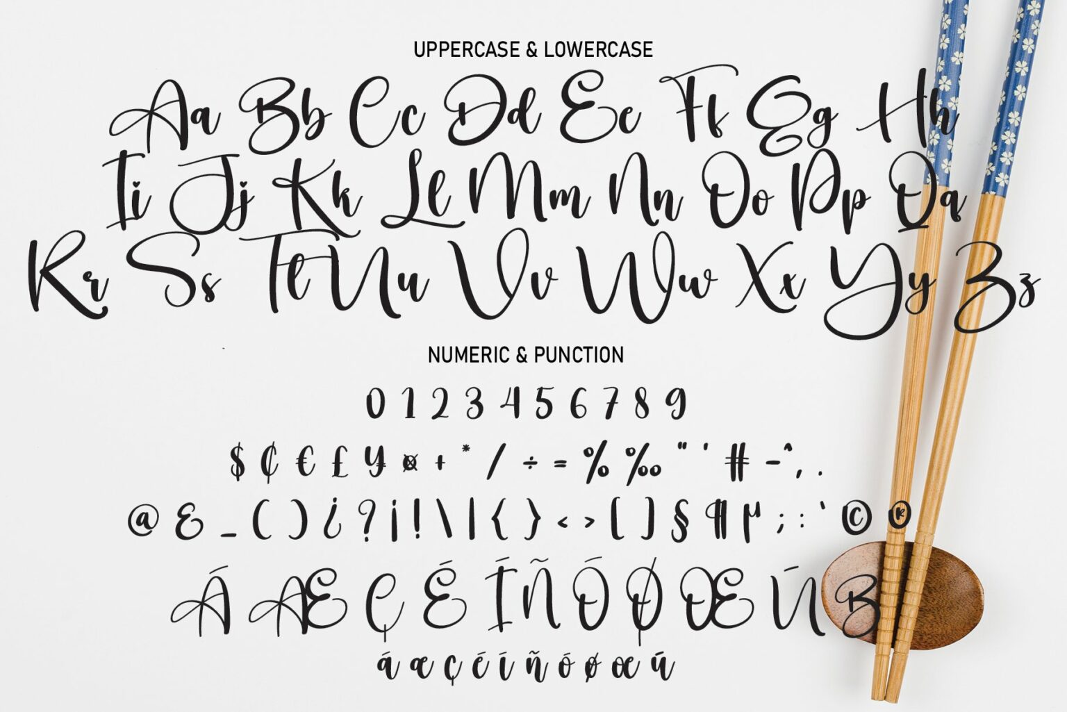 Japanese | Script Font – MasterBundles