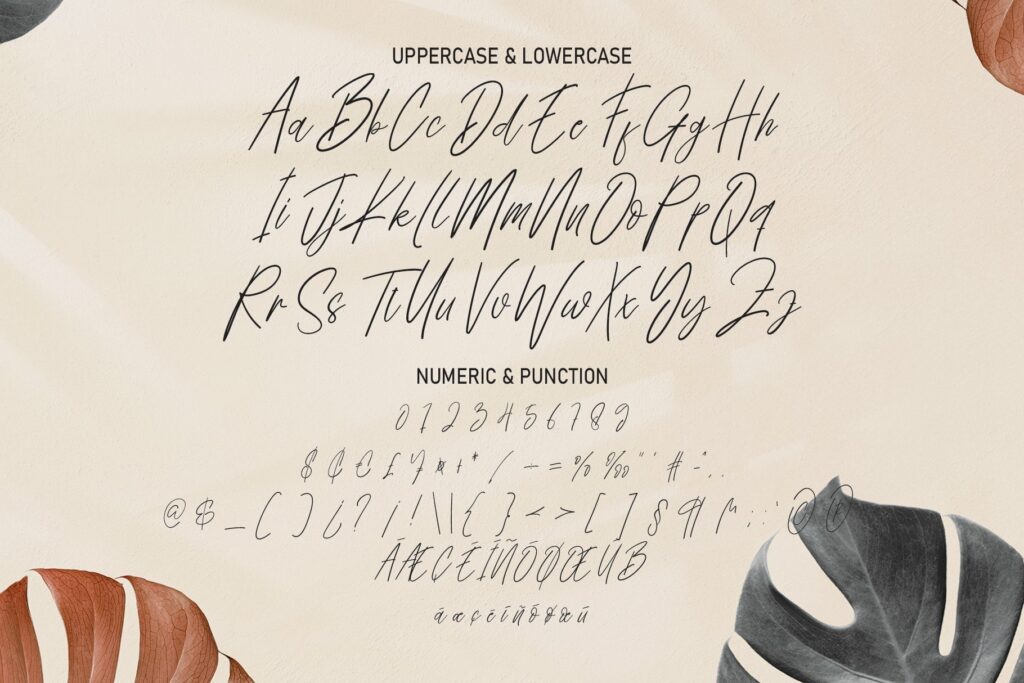 Tropical | Script Font – MasterBundles