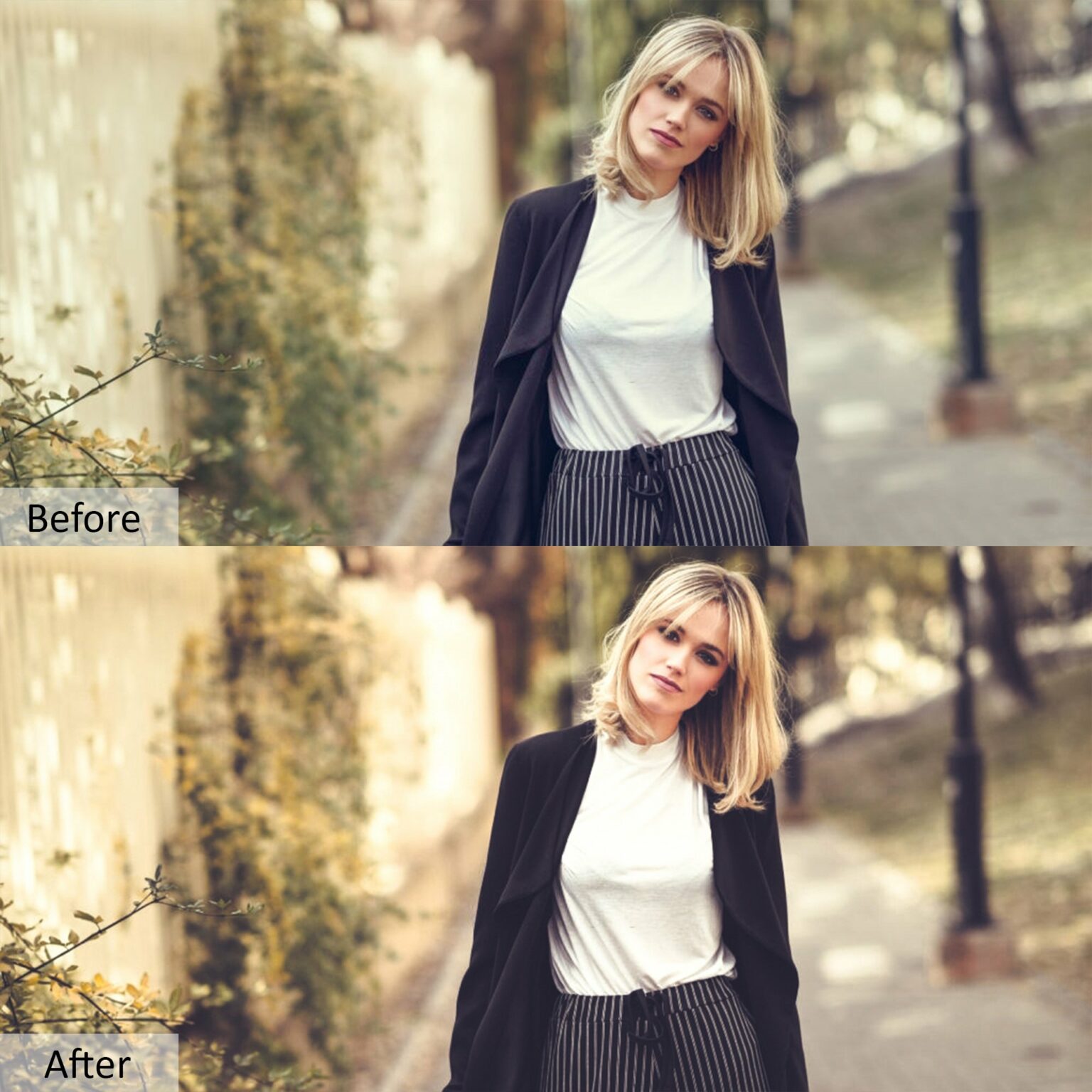 Creative Color Pro PRESETS – MasterBundles