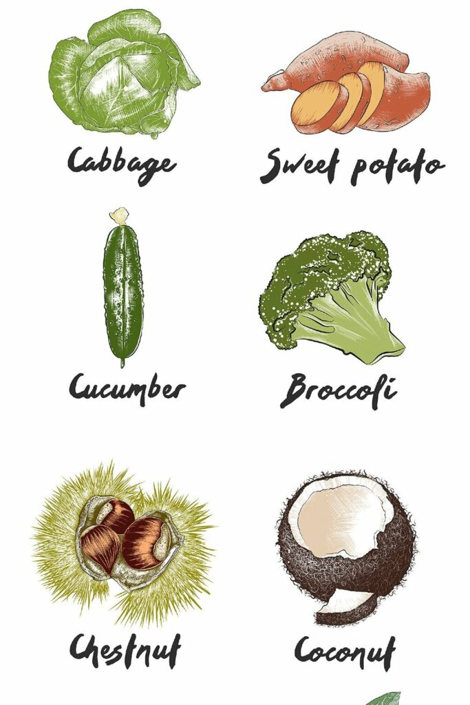 Organic Food Bundle (60% off) – MasterBundles