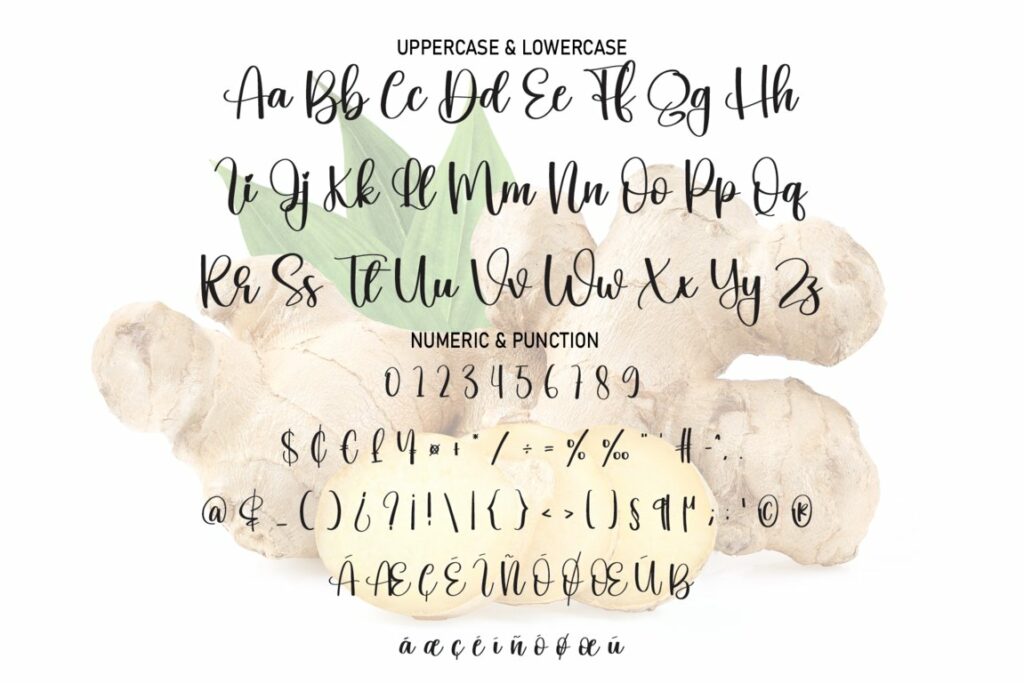 Ginger | Script Font – MasterBundles