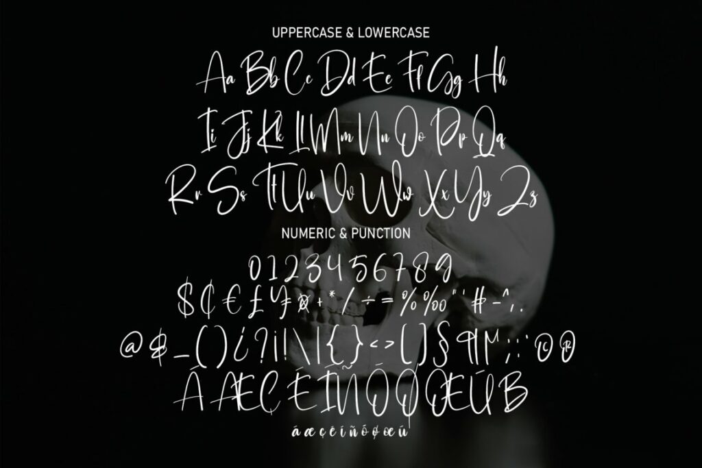 Skeleton | Script Font – MasterBundles