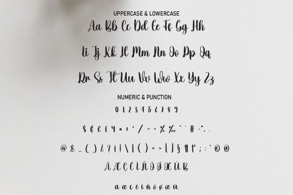 Future | Script Font – MasterBundles