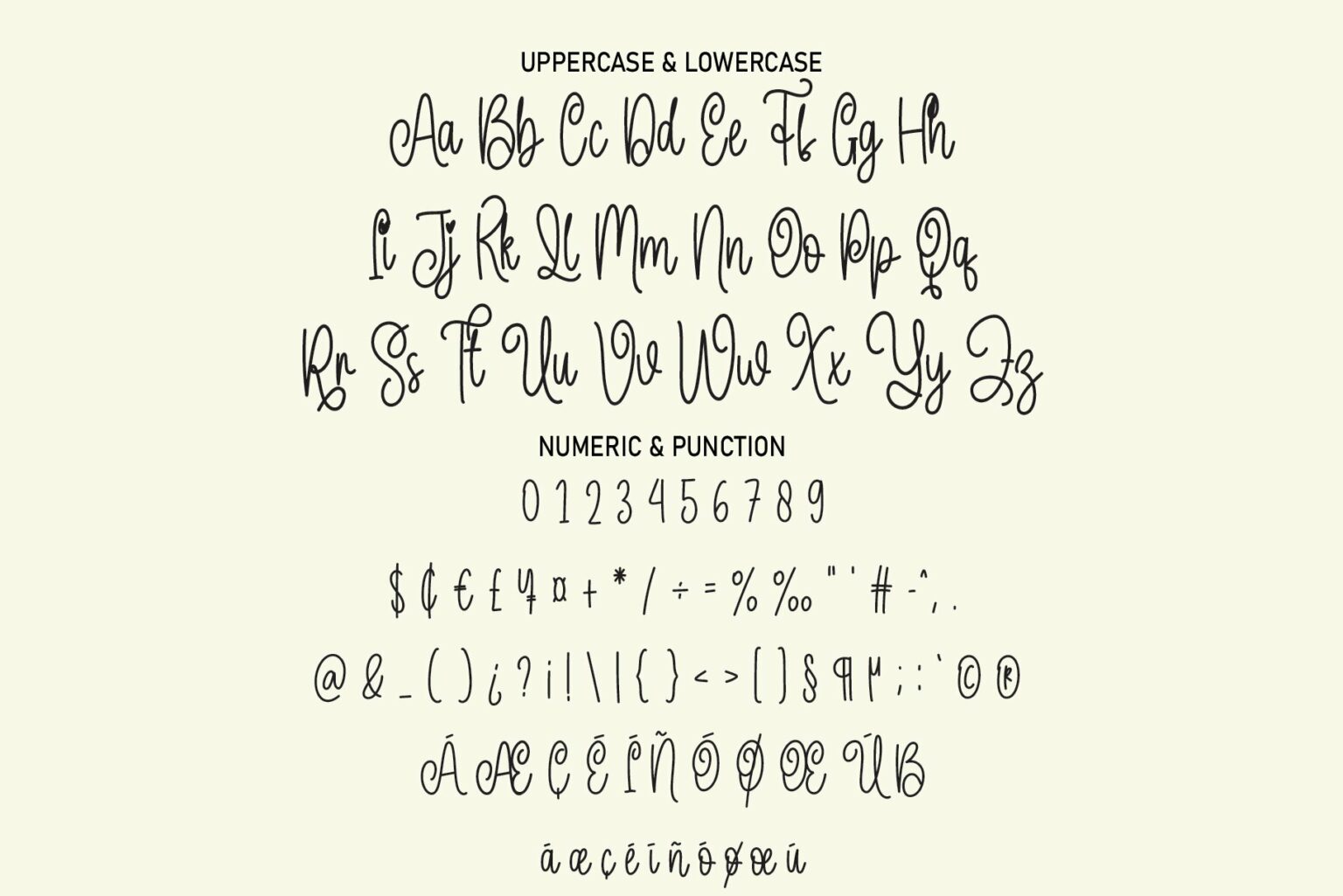 Thin | Script Font – MasterBundles