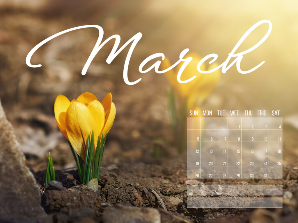 Free Cute March Calendar - MasterBundles