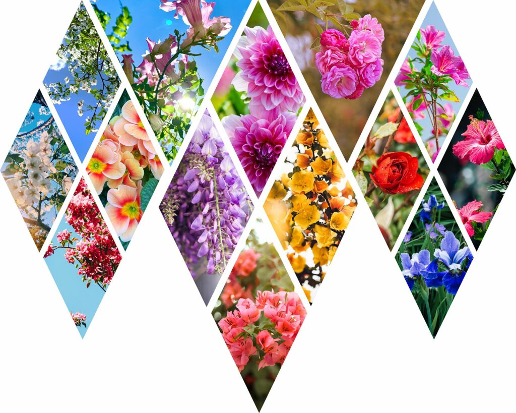 Unique Collage Photo Frame – MasterBundles