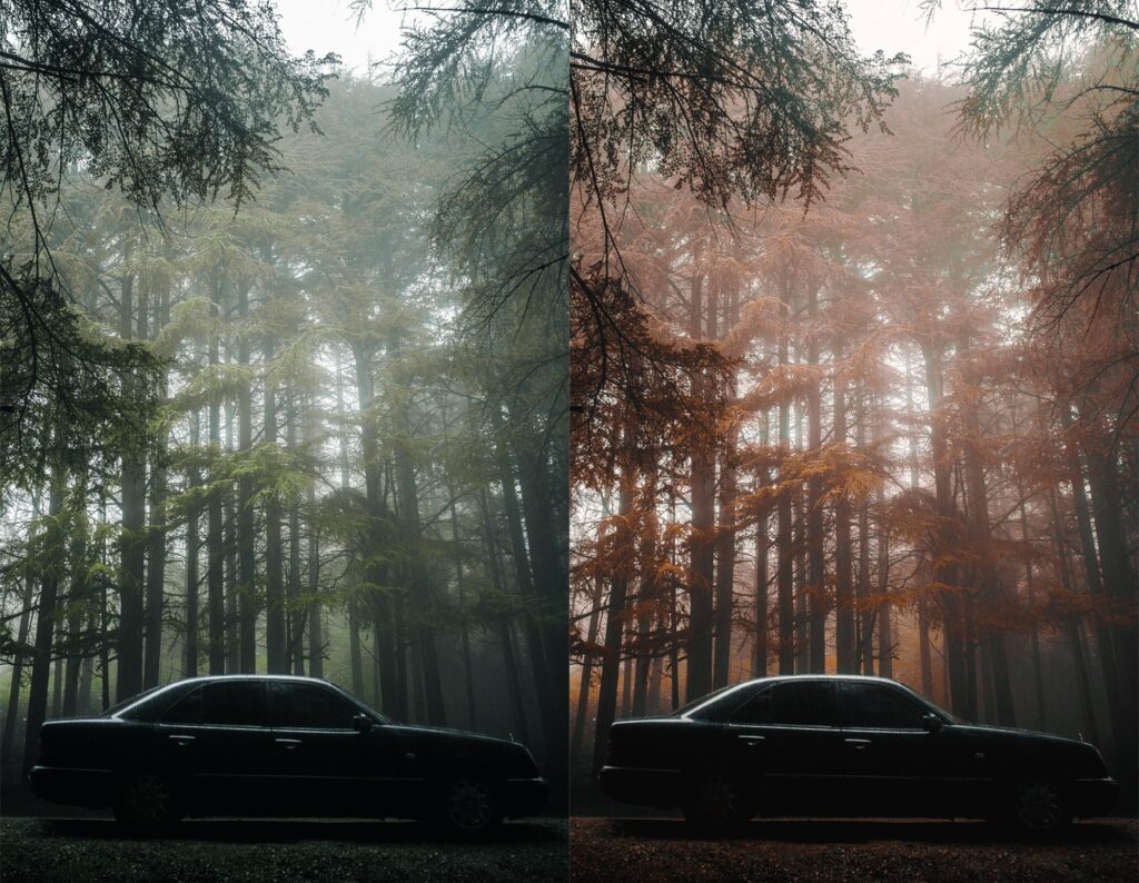 Fall - Autmun Photoshop Actions – MasterBundles