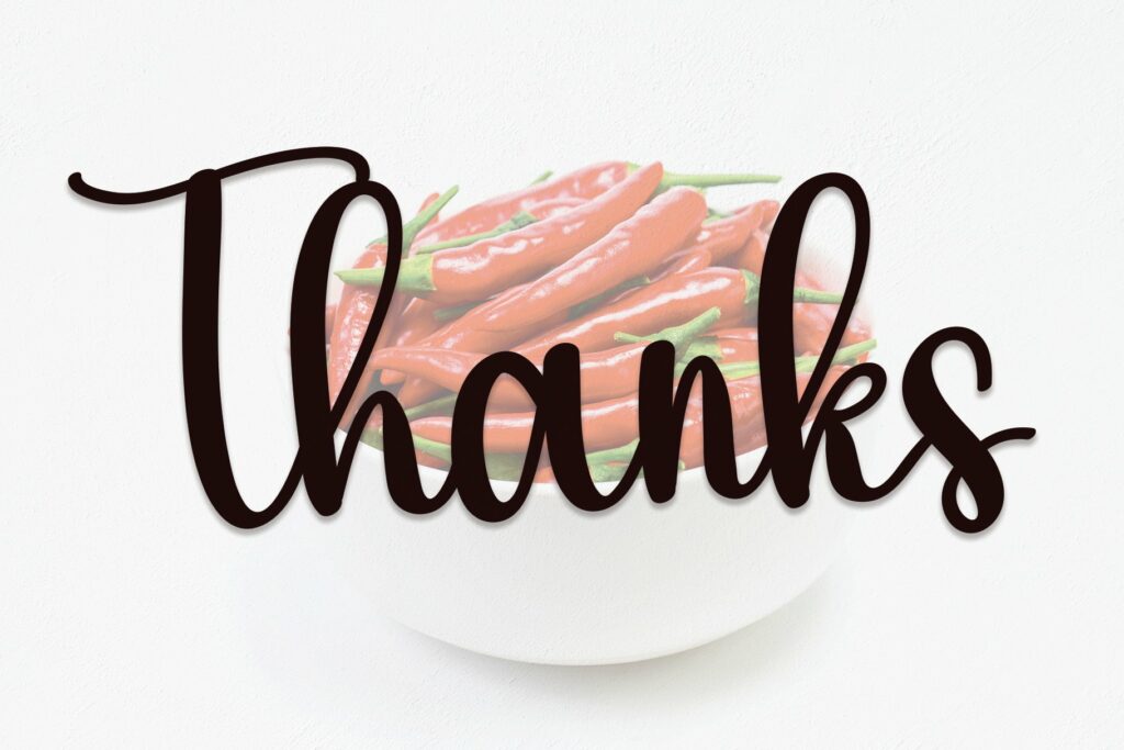 Chilli | Script Font – MasterBundles