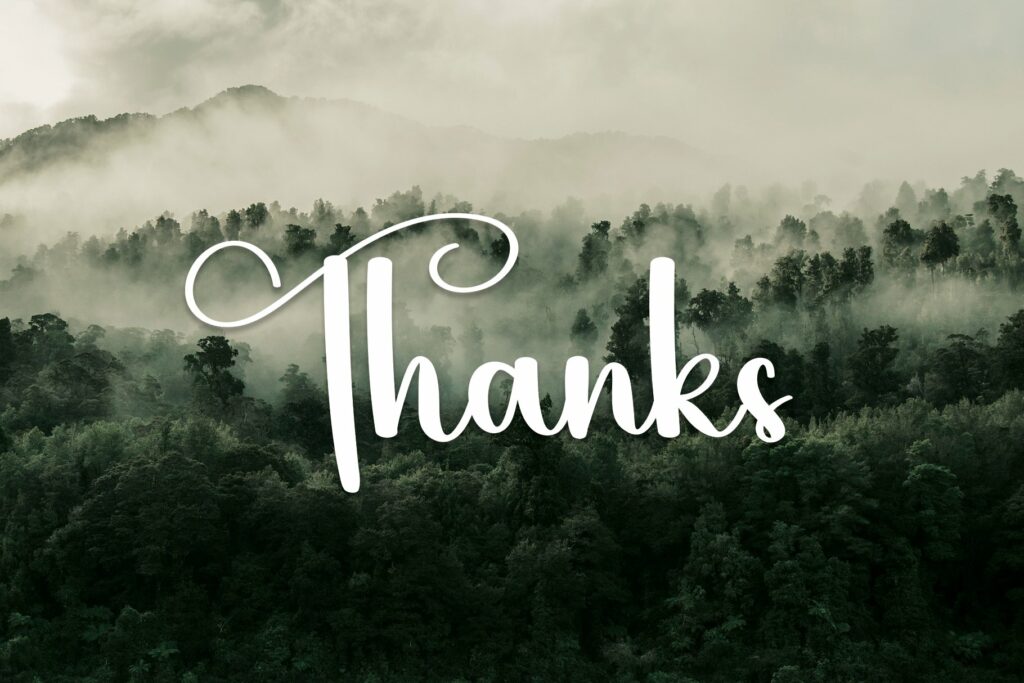 Nature | Script Font – MasterBundles