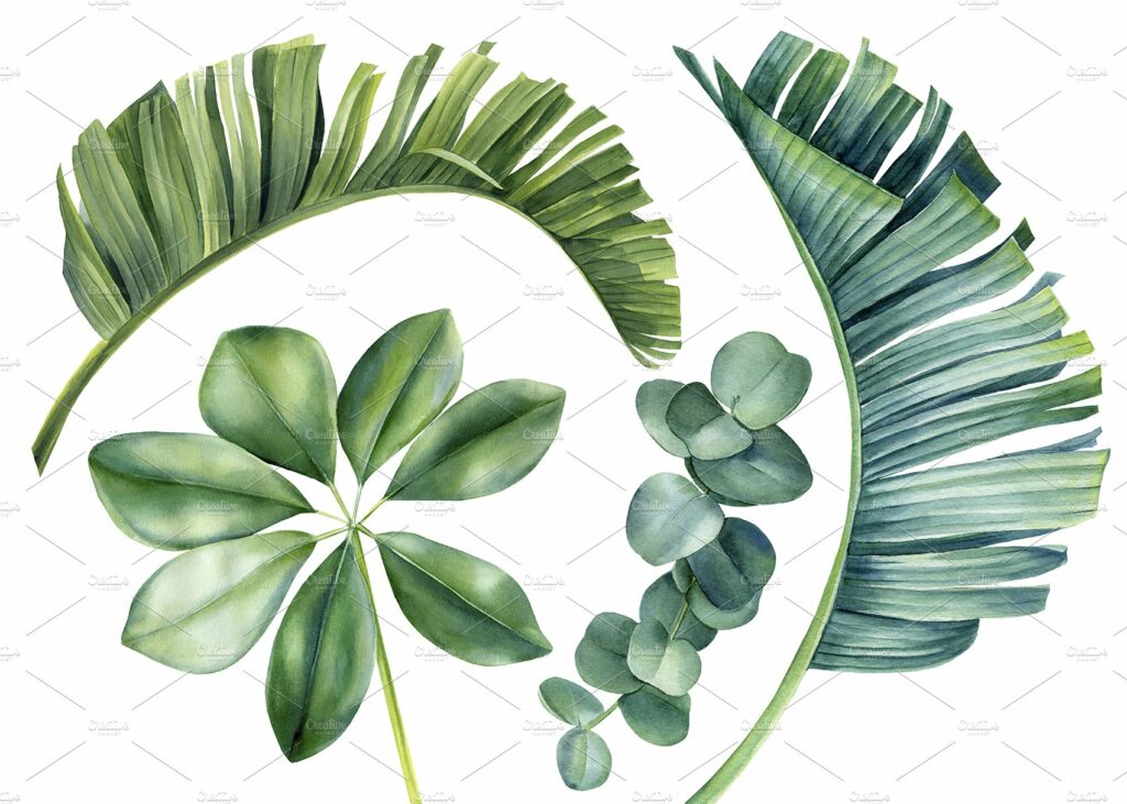 Watercolor Bundle tropical leaves – MasterBundles
