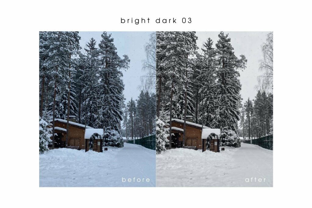 Bright Dark. Trendy Dark Preset. – MasterBundles