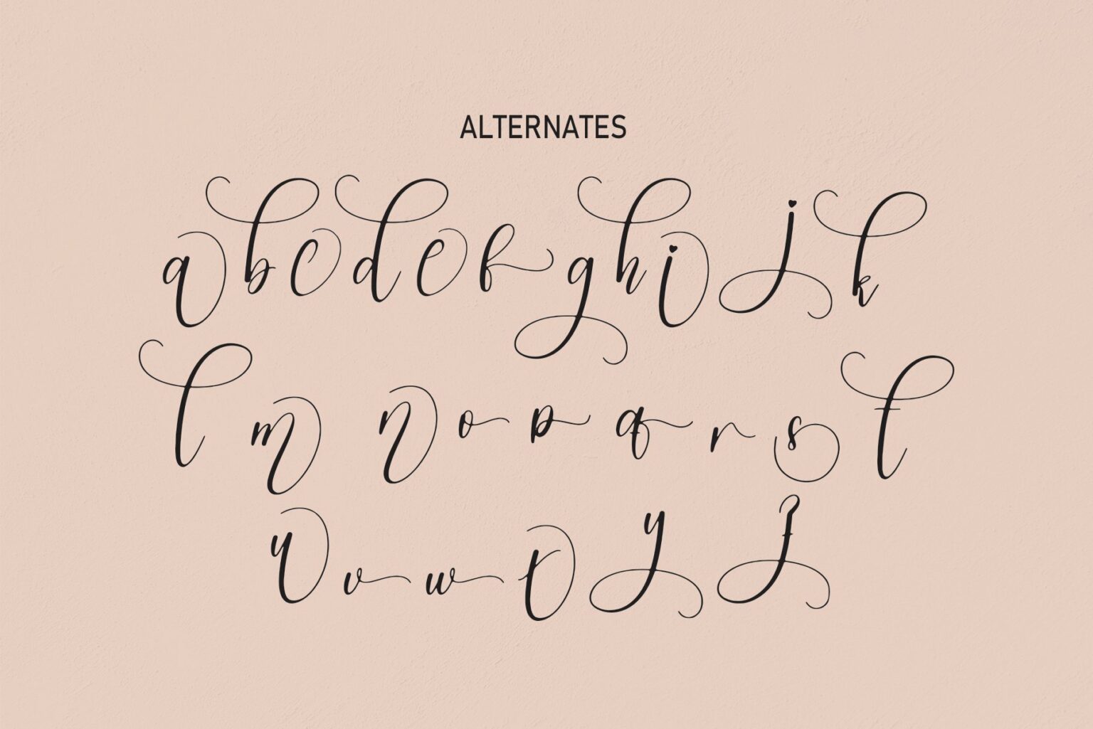 Belgian | Script Font – MasterBundles