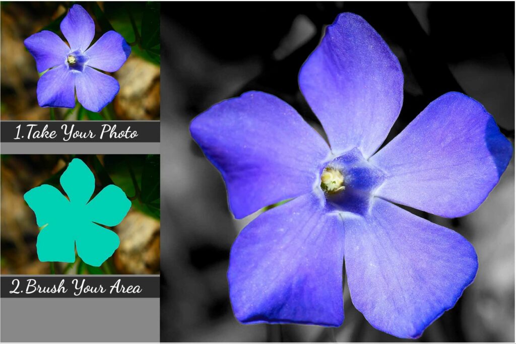 Selective Color Photoshop Action – MasterBundles