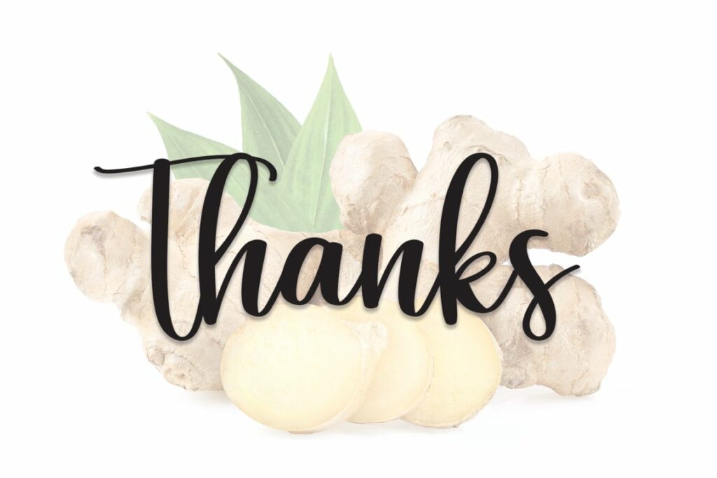 Ginger | Script Font – MasterBundles