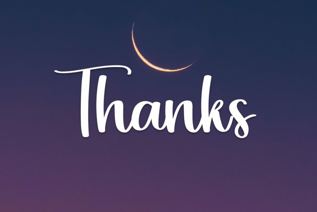 Summary | Script Font – MasterBundles