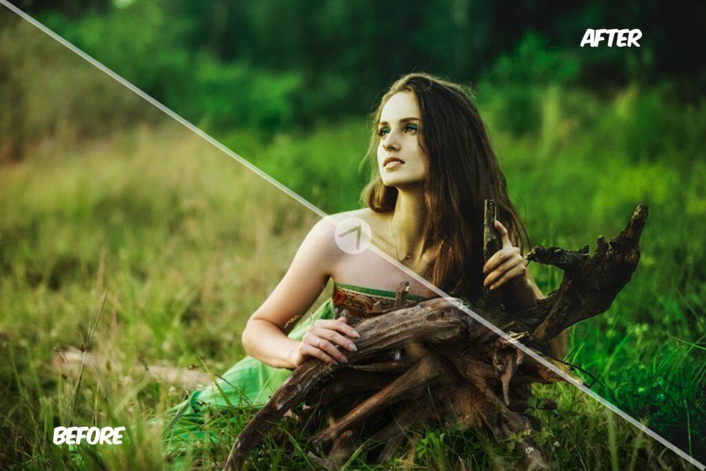 Fantasy Jungle Presets – MasterBundles