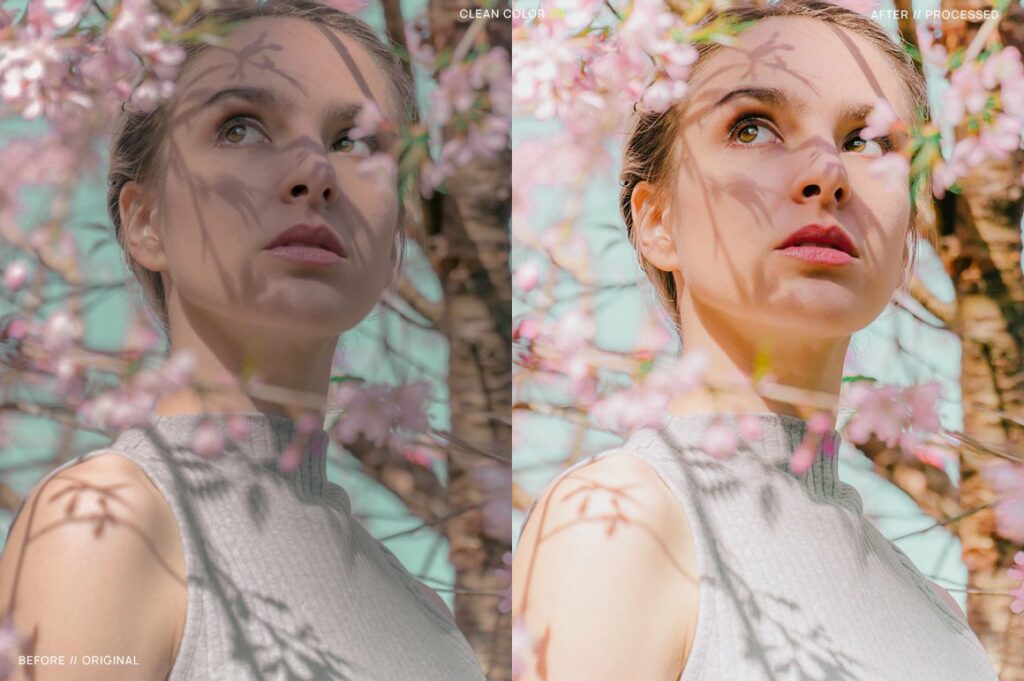 12 Clean Color Presets for Lightroom – MasterBundles