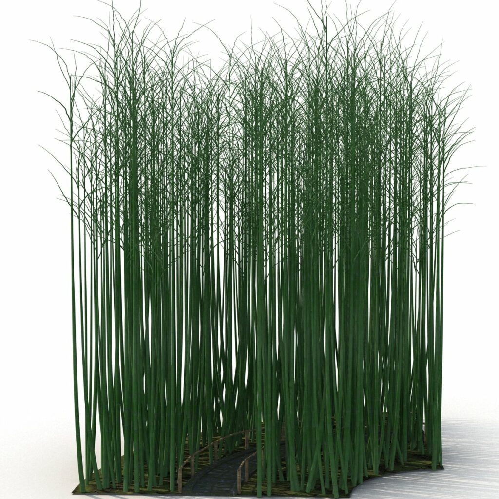 Bamboo corridor # 1 – MasterBundles
