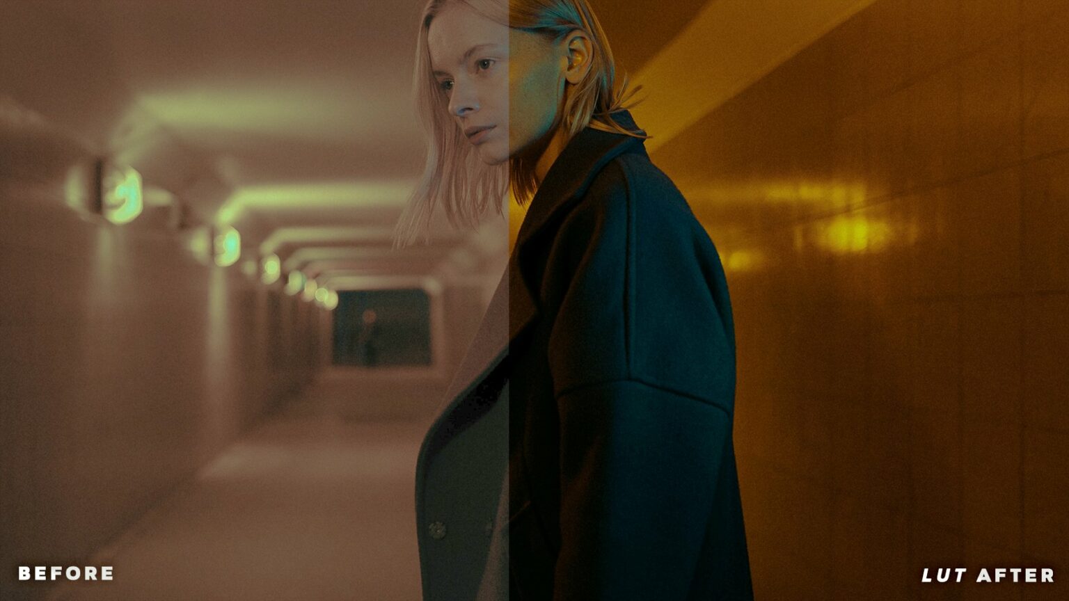 Cinema Look LUTs – MasterBundles
