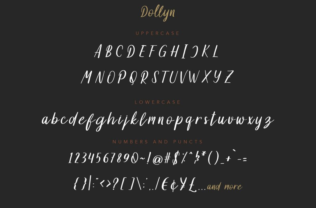Dollyn Script - Casual Playful Font – MasterBundles