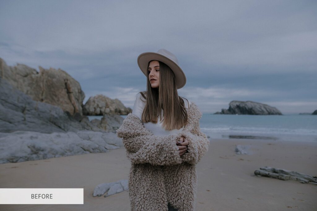 Flying Seagulls Photoshop Overlays – MasterBundles