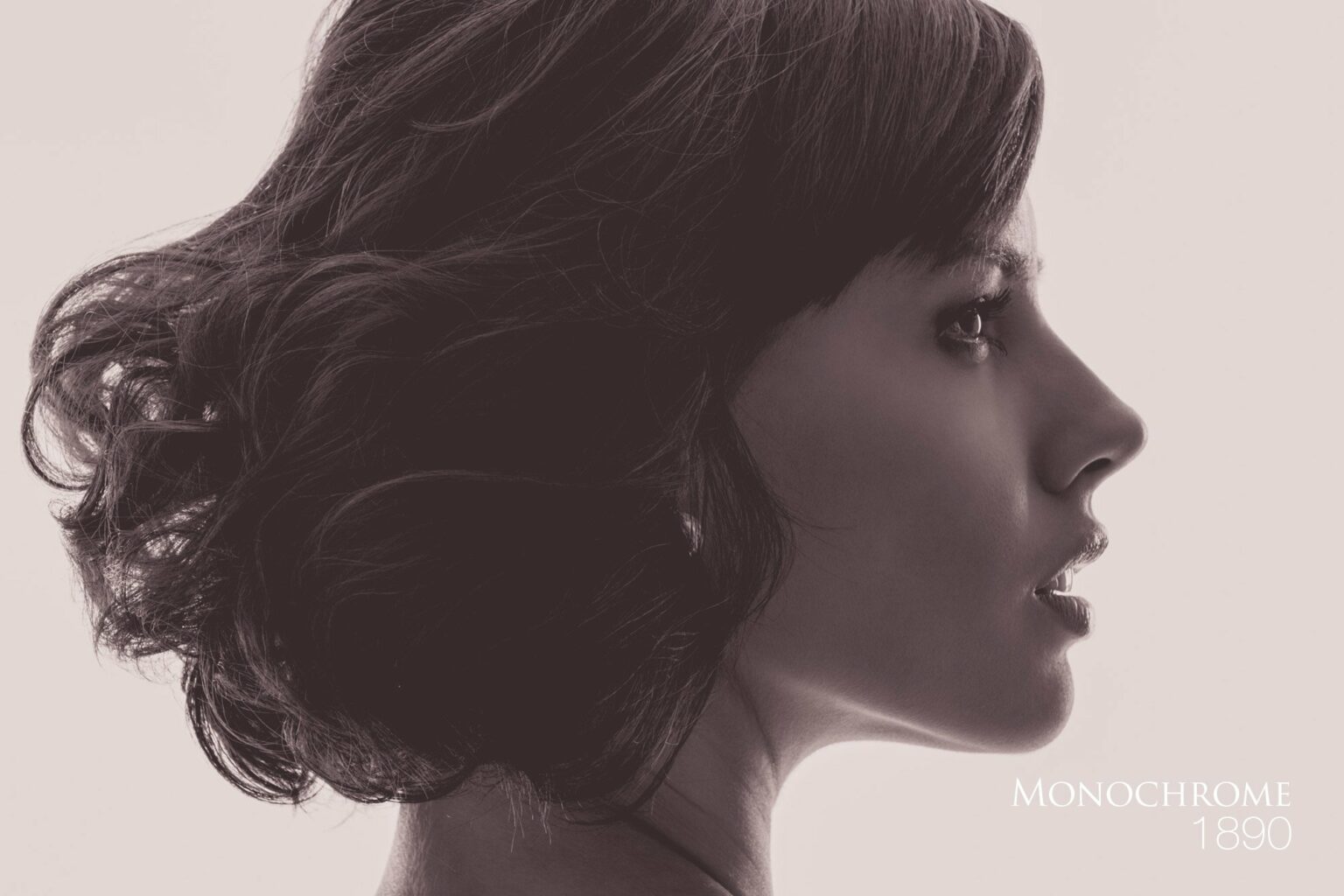 SALE! MONOCHROME Portrait Presets – MasterBundles
