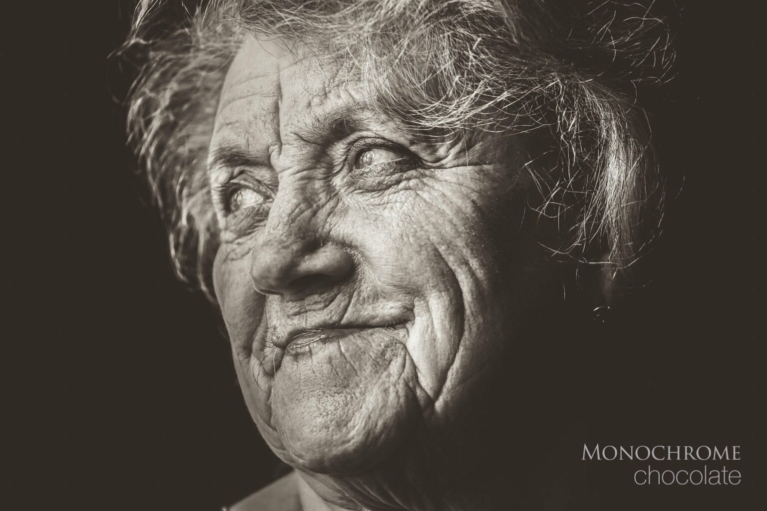 SALE! MONOCHROME Portrait Presets – MasterBundles