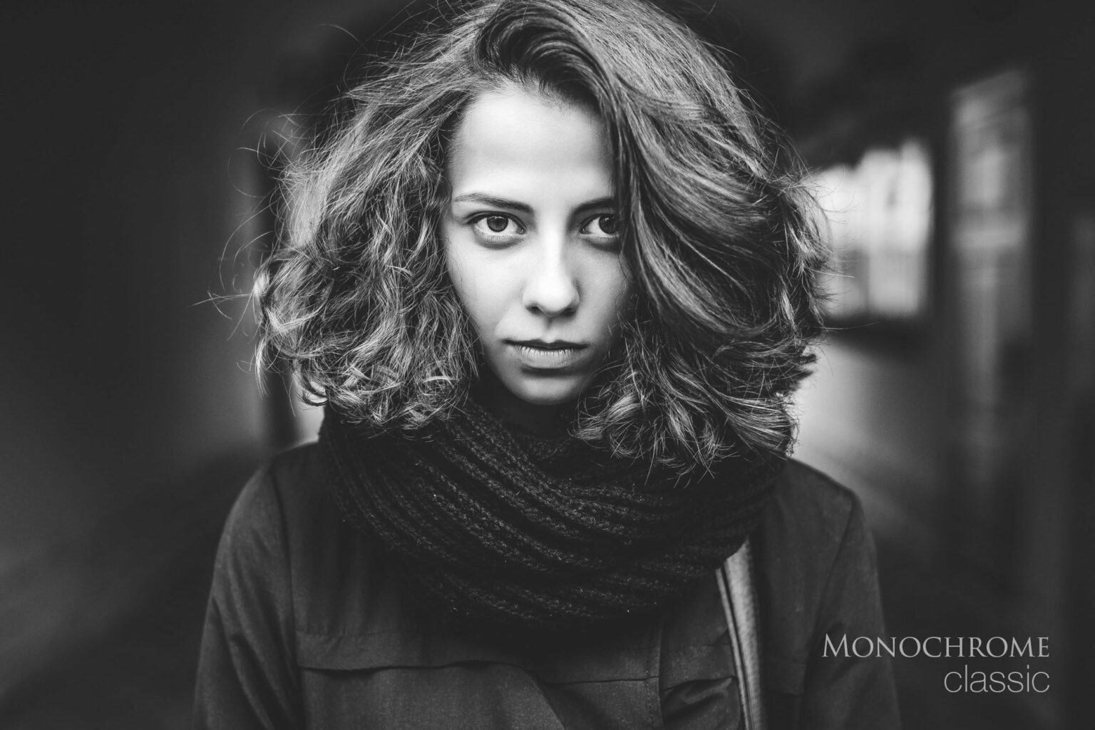 SALE! MONOCHROME Portrait Presets – MasterBundles