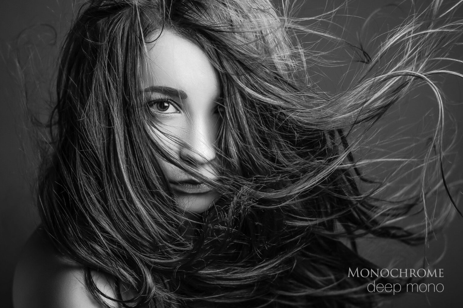 SALE! MONOCHROME Portrait Presets – MasterBundles