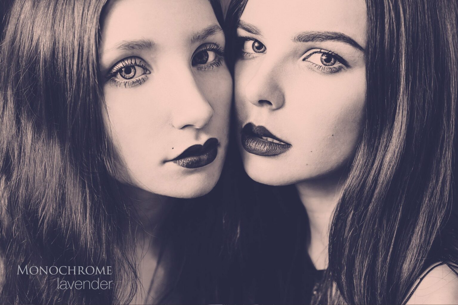 SALE! MONOCHROME Portrait Presets – MasterBundles