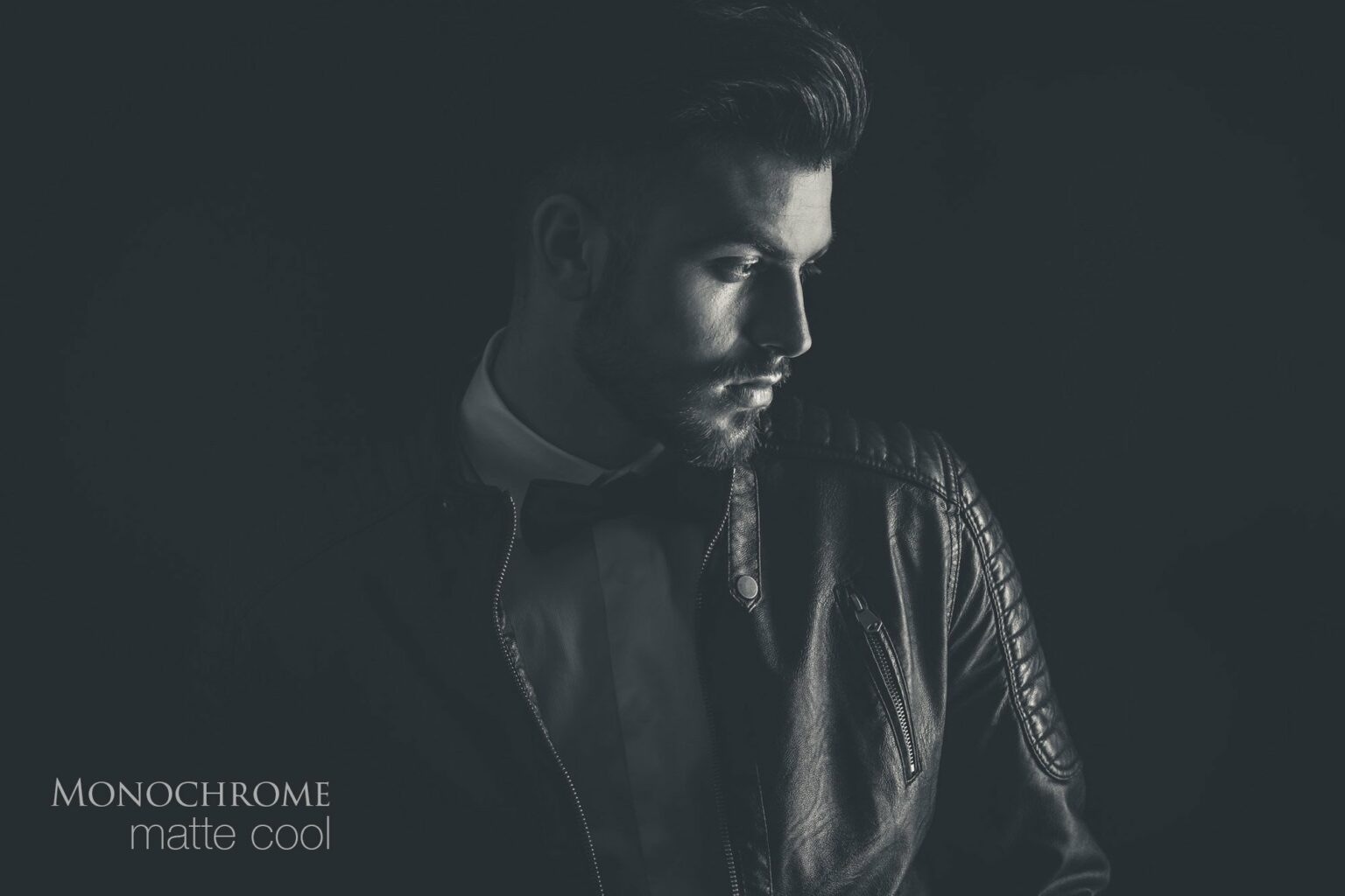 SALE! MONOCHROME Portrait Presets – MasterBundles