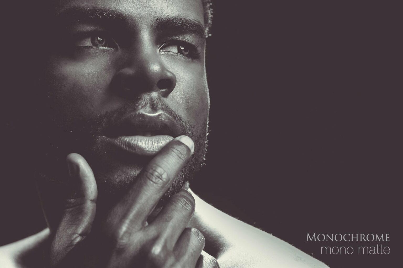 SALE! MONOCHROME Portrait Presets – MasterBundles