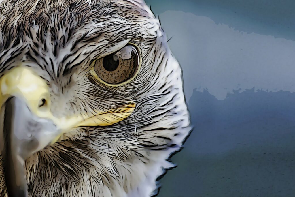 Cel-Shading Photoshop Action – MasterBundles