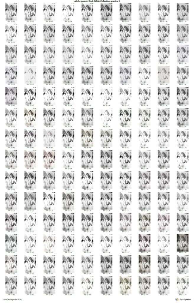 Black White Collection Adobe presets – MasterBundles