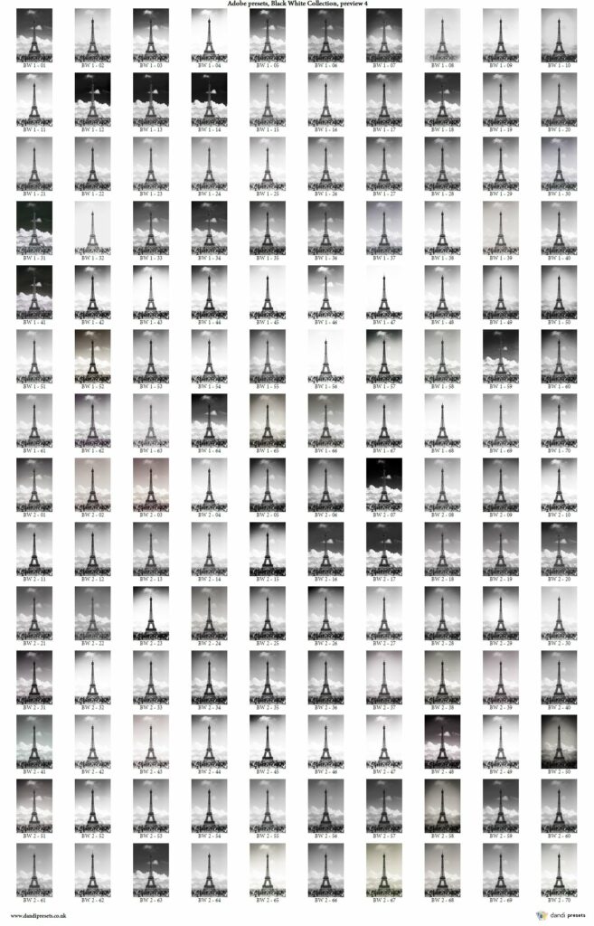 Black White Collection Adobe presets – MasterBundles
