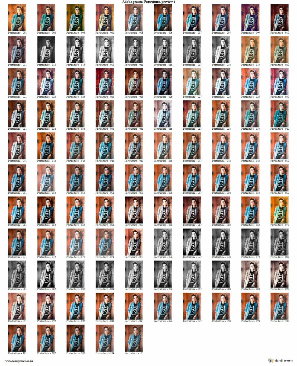 Portraiture Adobe Presets – MasterBundles